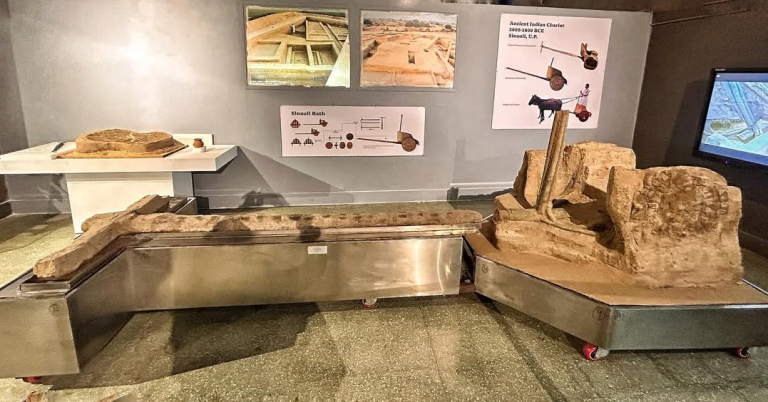 Sinauli Excavations: Revealing a 4,000 Year Old Chariots - Historika ...